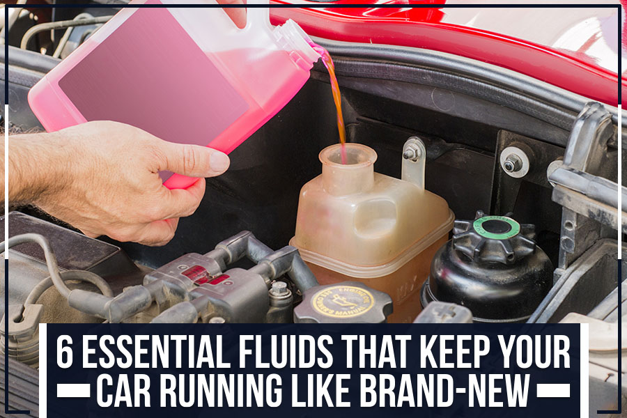 6 Essential Fluids That Keep Your Car Running Like Brand-New – Vann ...